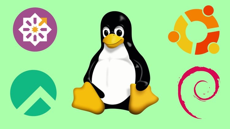 Aprenda tudo sobre o Linux! Completo e atualizado v2025! - EAD